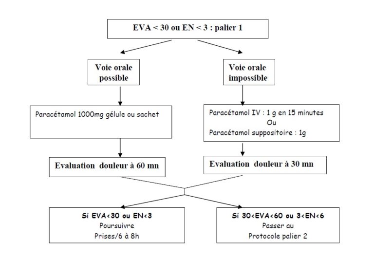 Protocole de prise en charge d’une douleur relevant d’antalgiques de ...